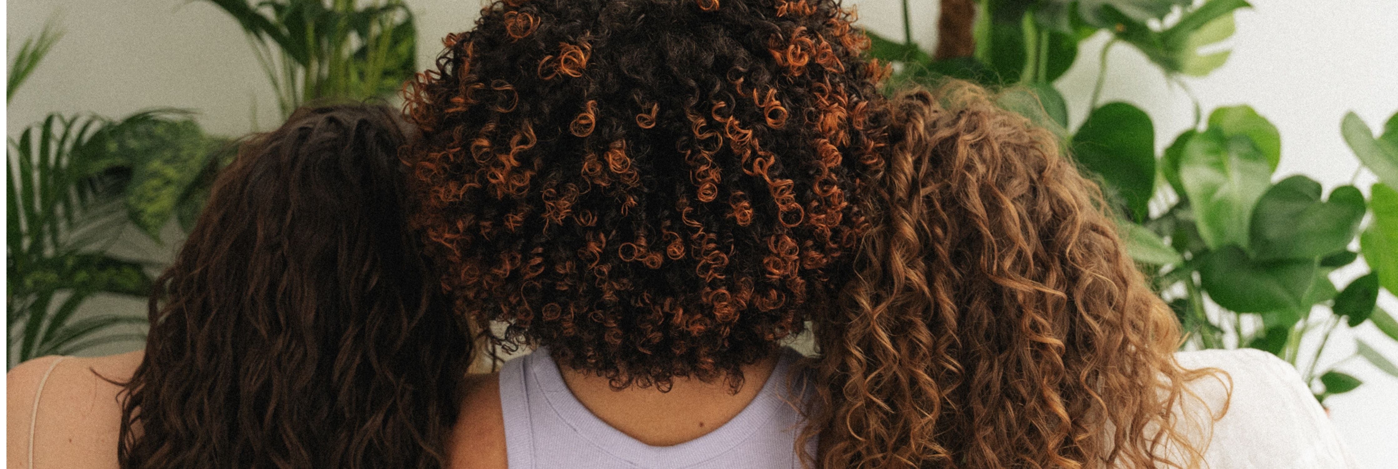 Comment utiliser le gel d’aloe vera pour les cheveux bouclés ? – La ...